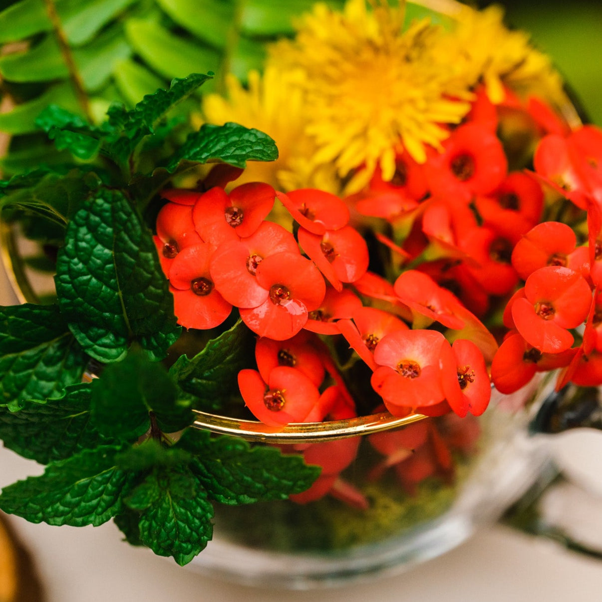 Fiddy Shades of Green Juice